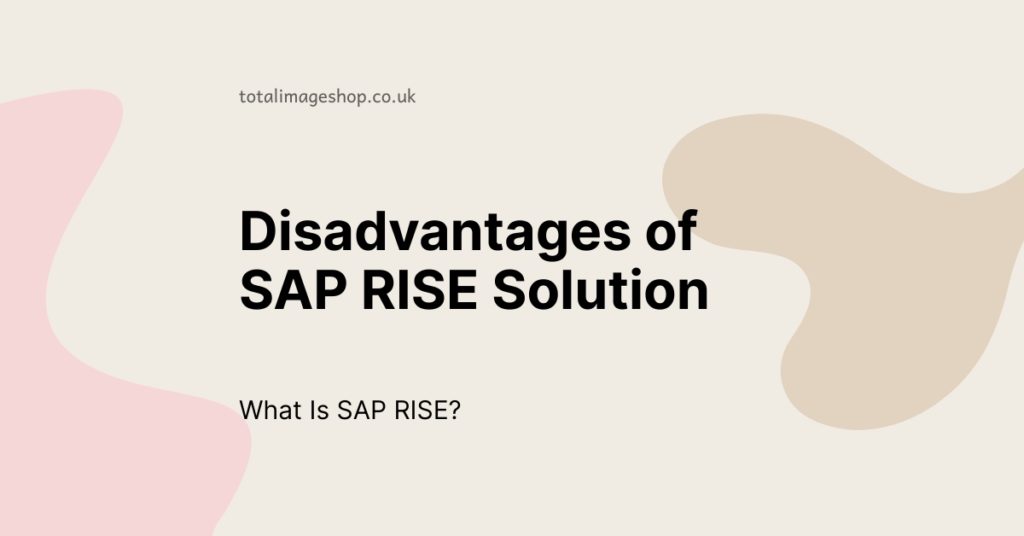 SAP RISE – Disadvantages of SAP RISE Solution – Total Image Shop
