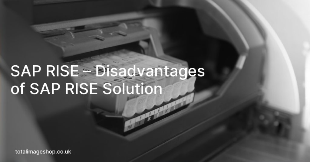 SAP RISE - Disadvantages of SAP RISE Solution - Total Image Shop
